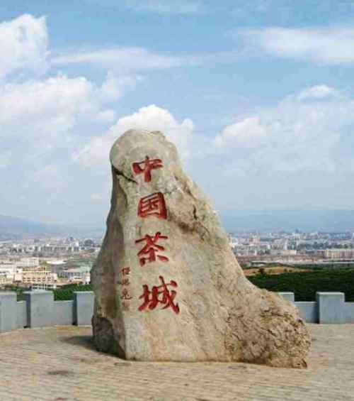 普洱永康茶业普洱味道