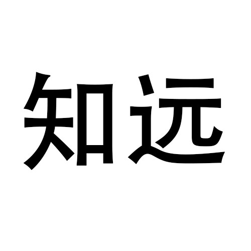 知远旗舰店