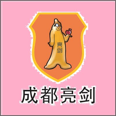 成都亮剑企业店
