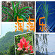 江南花语淘淘乐