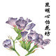 昆明心怡花坊