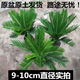 洁洁世界22