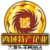 西域特产企业官方店