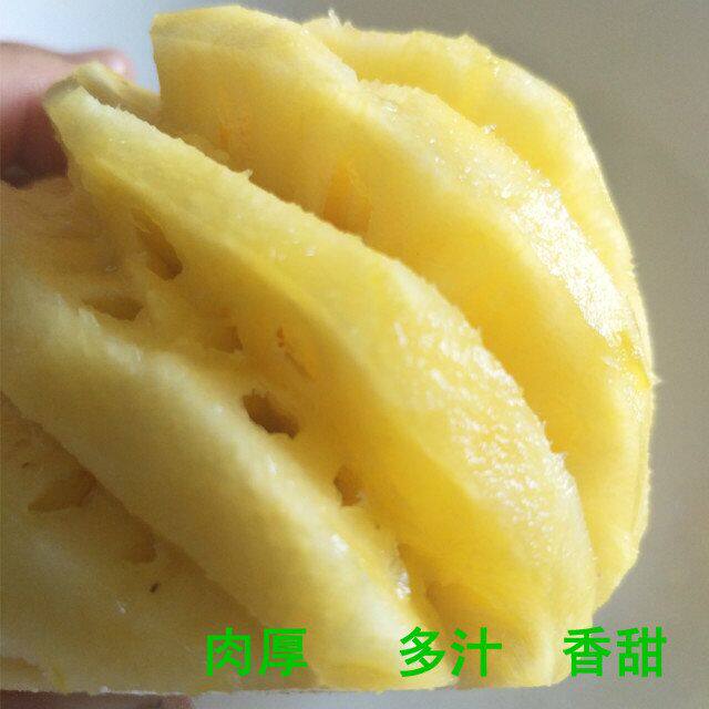 珍珍果乐园