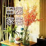 TYTTW田园淘淘屋家饰家居