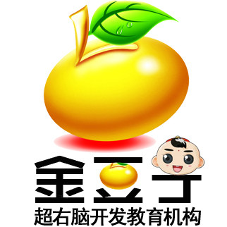 金豆子早教玩具