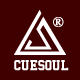 CUESOUL Q獣