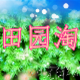 武夷山脉田园淘