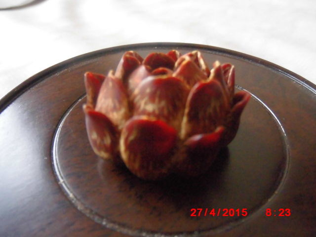 心诚佛缘菩提阁