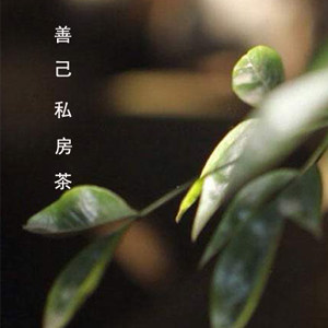 武夷山善己高端私房茶