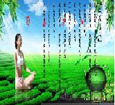 嵩山鑫泰农庄