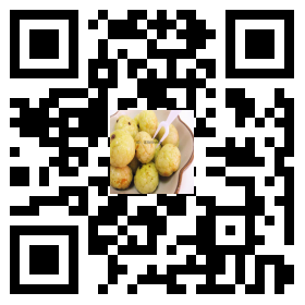 闽南蜜饯特产