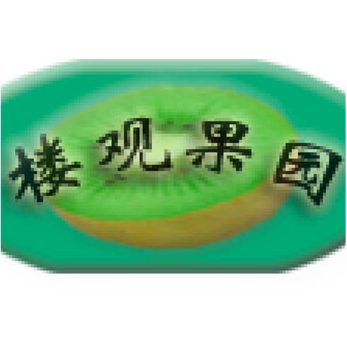 楼观果园猕猴桃