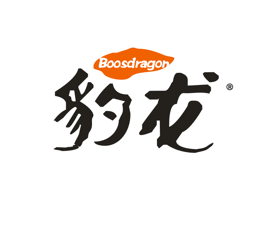 豹龙旗舰店