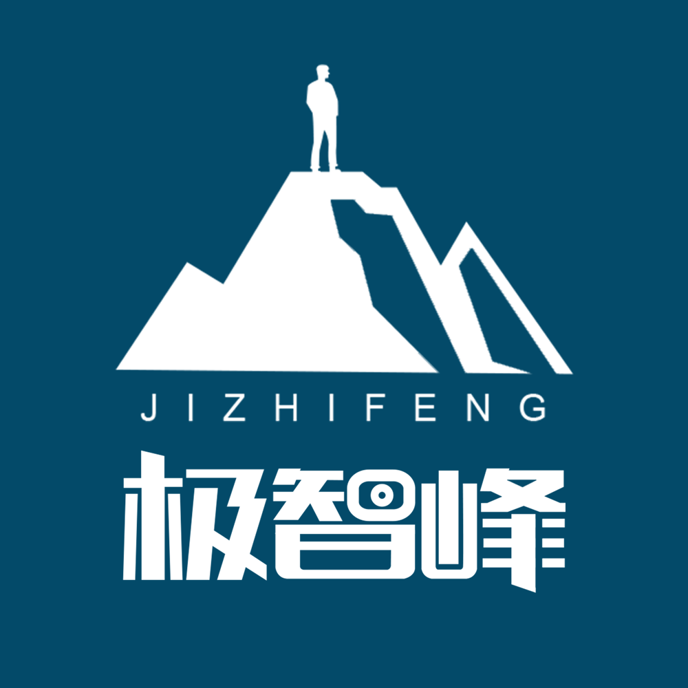 极智峰科技