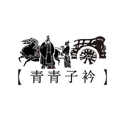 青青子衿品牌设计