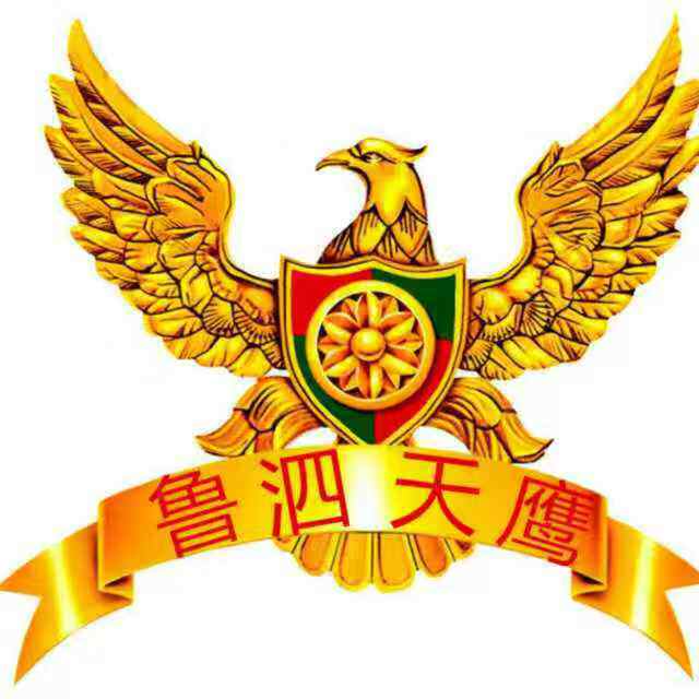 鲁泗天鹰照明器材厂