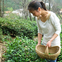 栗香山茶场