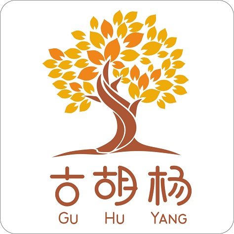 古胡杨坚果