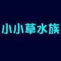 鞍山小小草水族批发店