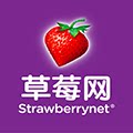 草莓网海外专营店