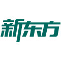 新东方旗舰