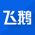 飞鹅旗舰店