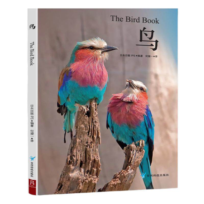 鸟 汇集世界上美丽的52种鸟 珍贵照片鉴赏动物图鉴书 观鸟指南用书 珍惜森林草原野鸟形态鸟类图鉴野生动物百科观鸟手册鸟类大全
