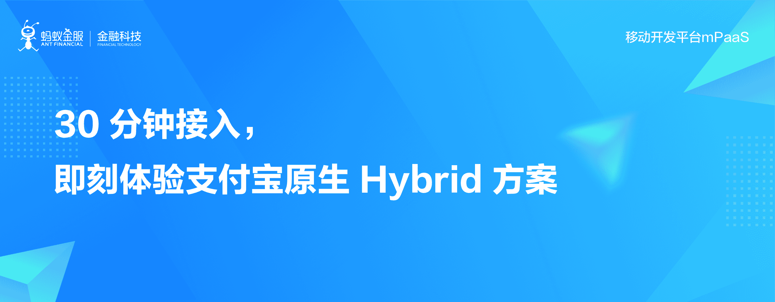 GitHub - alipay/mPaaS: mPaaS Demo 合集，mPaaS 是源自于支付宝的移动开发平台。The collection of demos for mPaaS ...